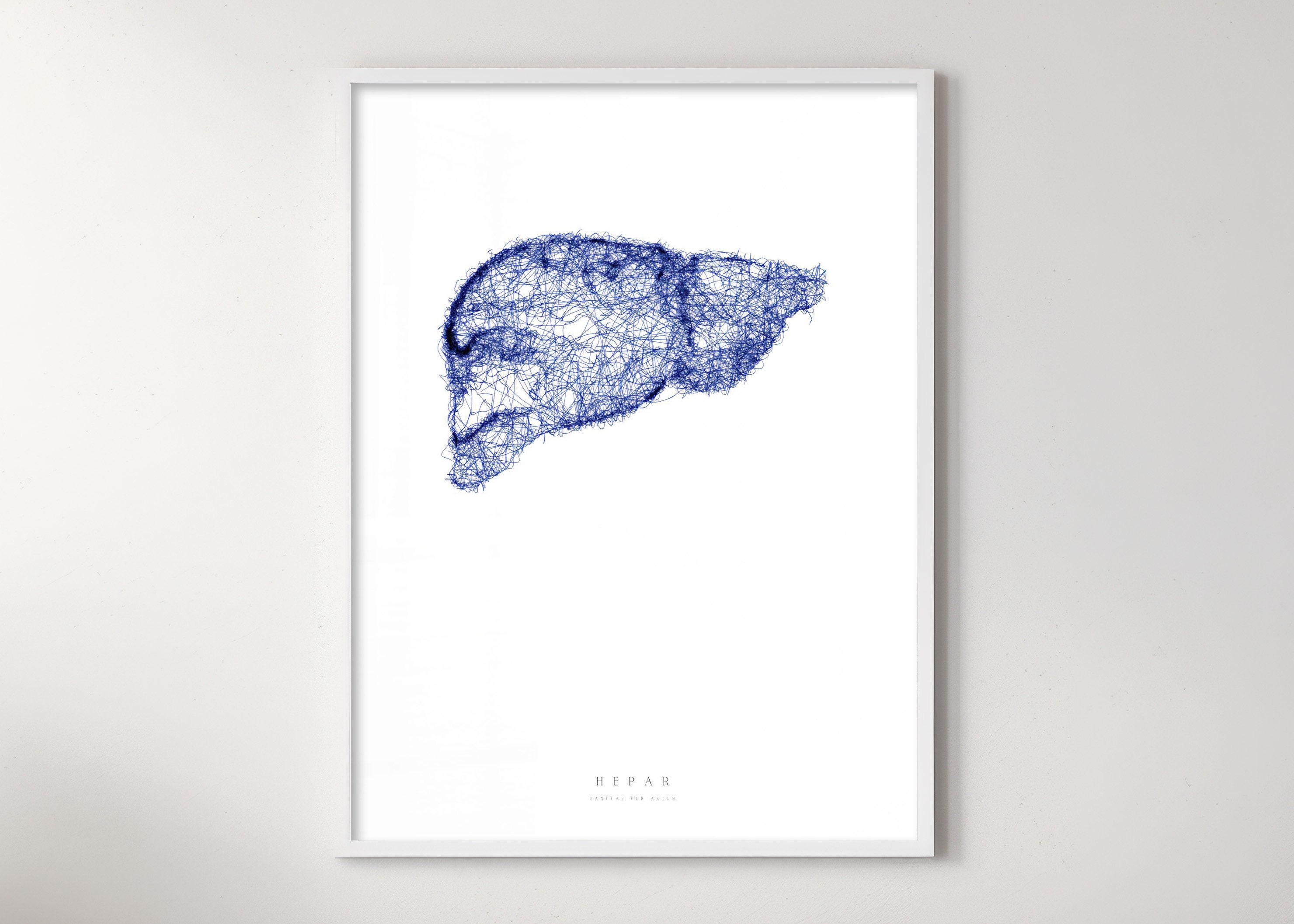 Hepar Liver Medical Artwork Anatomy Wall Art - Etsy