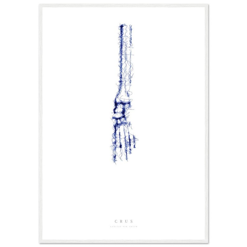 Crus Lower Leg Medical Artwork Anatomy Wall Art - Etsy