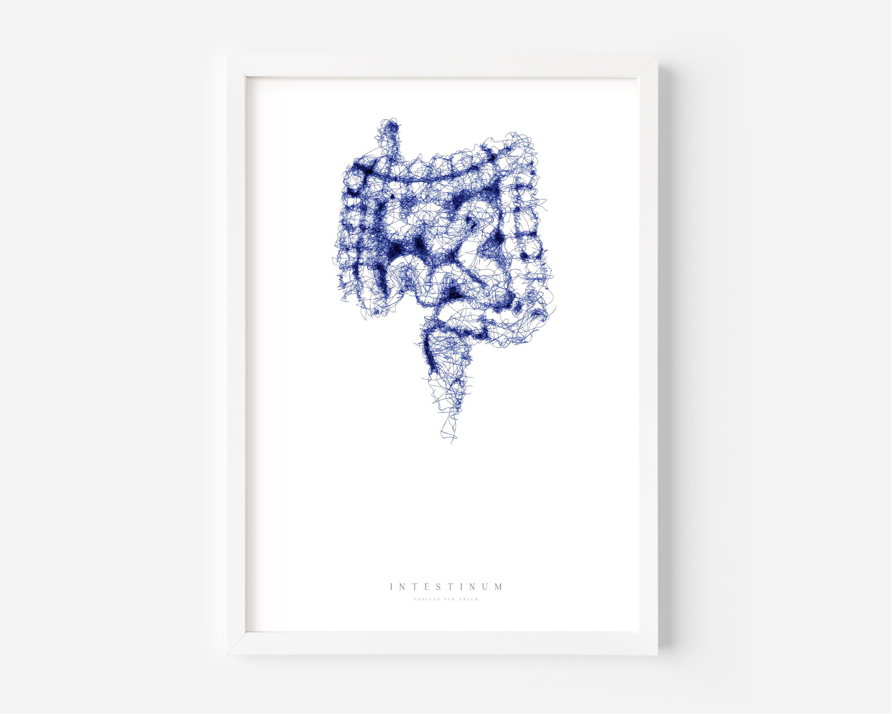 Intestinum Colon Medical Artwork Anatomy Wall Art - Etsy