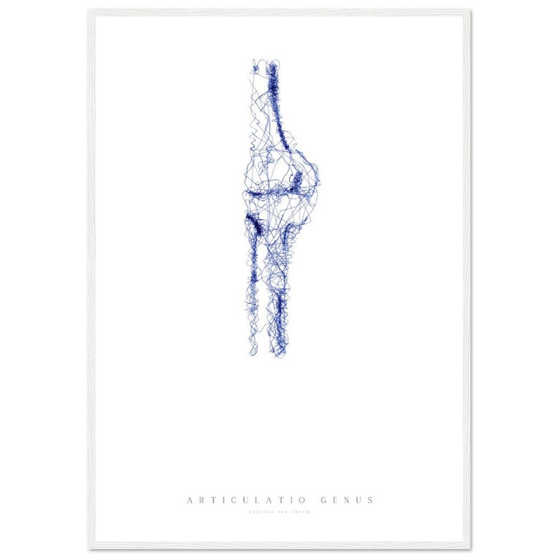 Articulatio Genus - Knee Joint | Medical Artwork | Anatomy Wall Art - Etsy