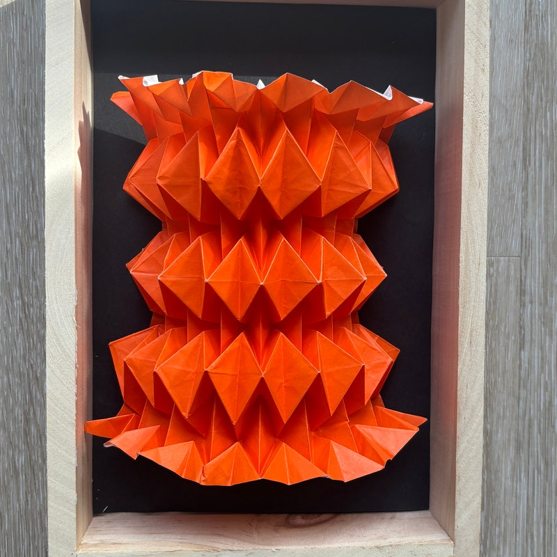 Framed Origami - Etsy