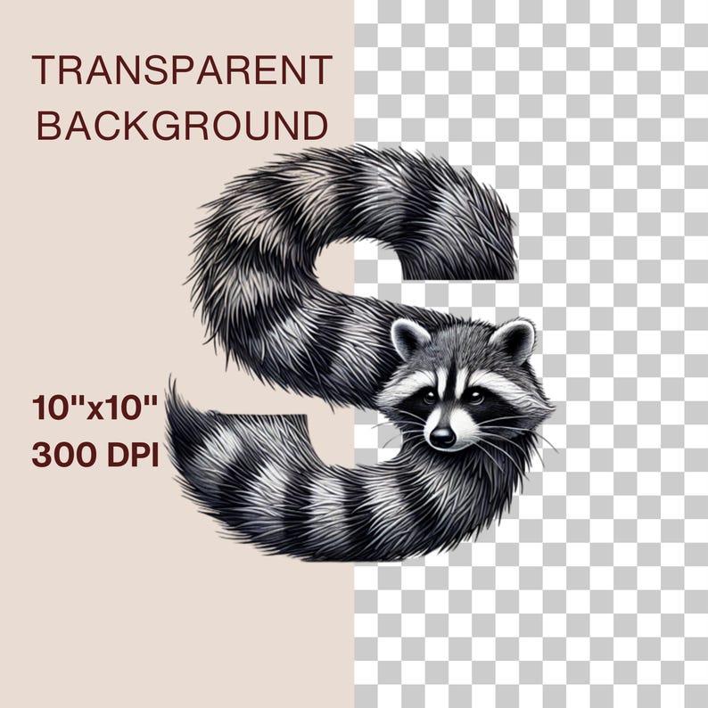 Raccoon Alphabet Clipart: A-Z Digital Letters (PNG, Printable) - Etsy