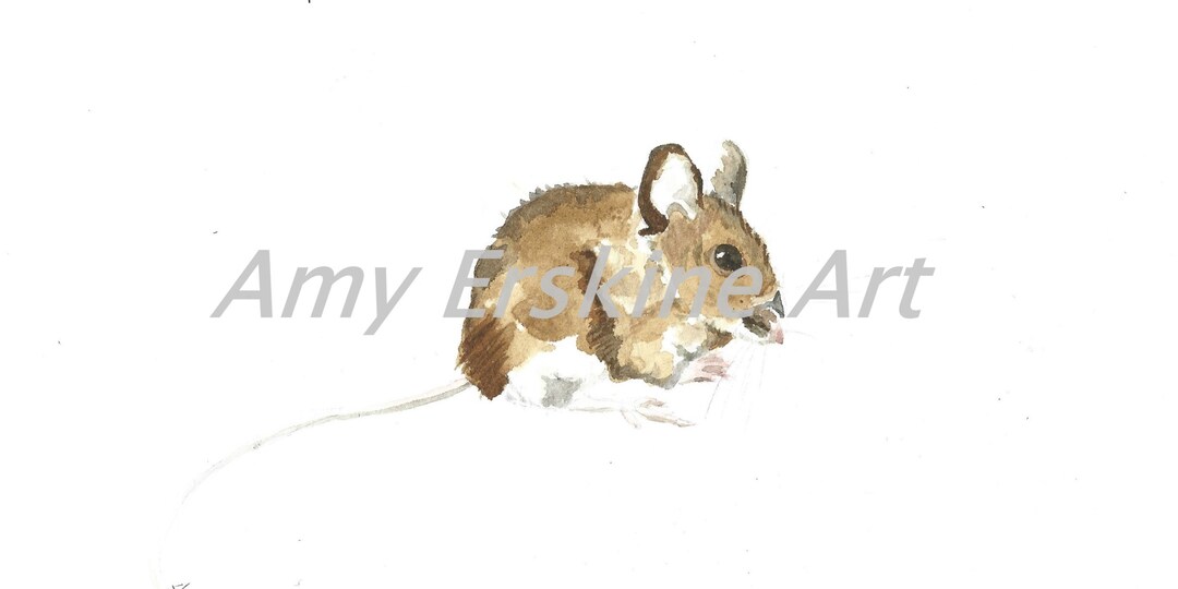Watercolour Wood Mouse Digital Download | Printable Original Art ...