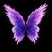 7x Purple Wings With Background PNG Digital Download, Fairy Wings ...