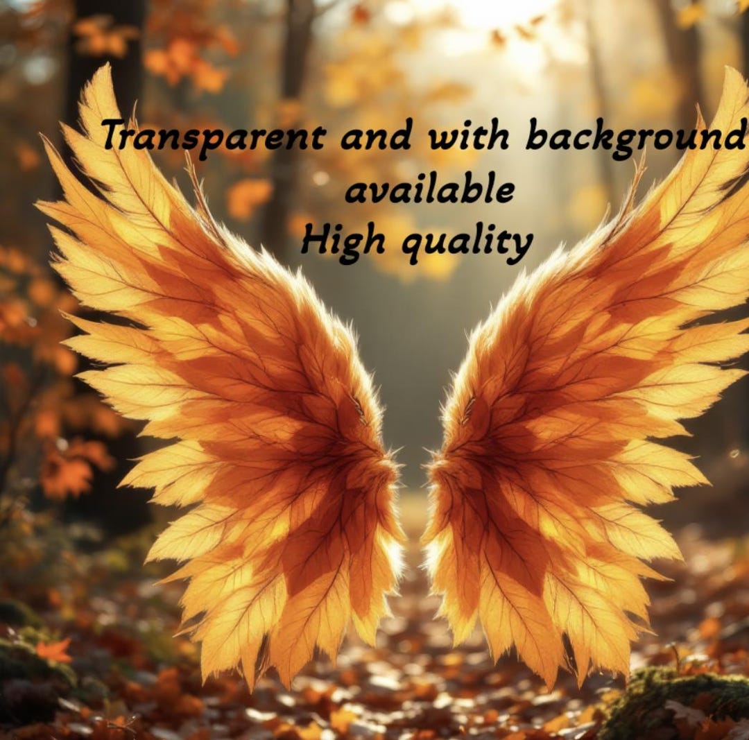 9x Autumn Wings PNG Digital Download, Fall Butterfly Clipart, Nature ...