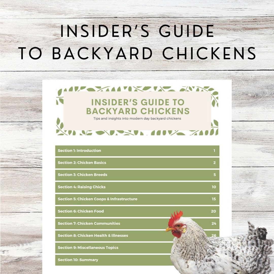 BACKYARD CHICKENS 101, Insider's Guide: How to Keep Happy Hens, PDF Download, Guide for ...