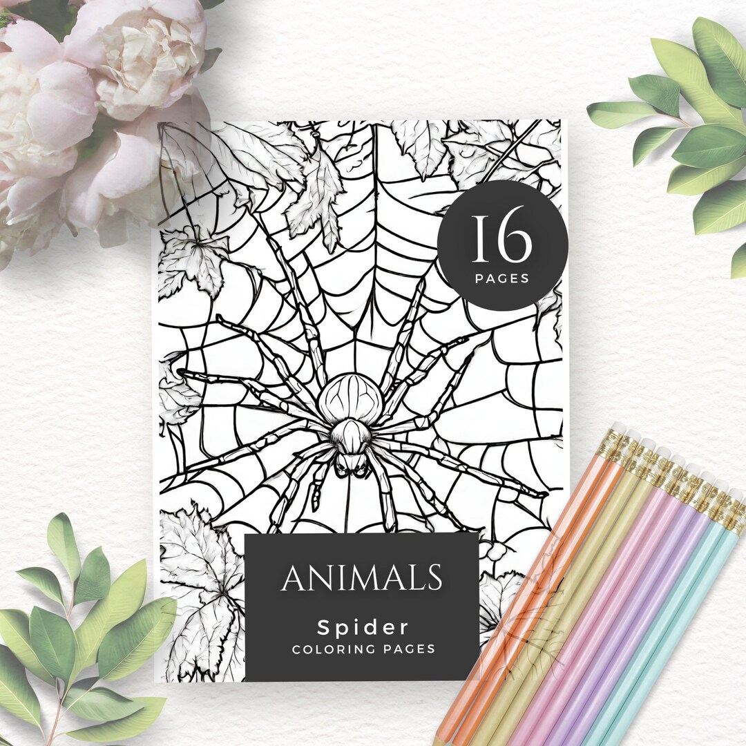 Coloring Pages Spiders Coloring Activities Instant Download PDF ...