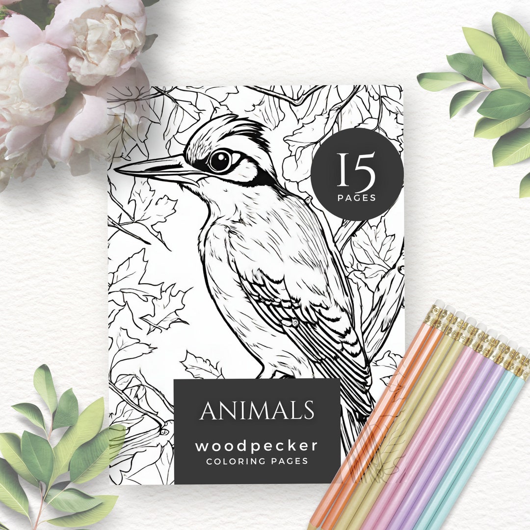 Coloring Pages Woodpecker Coloring Activities Instant Download PDF ...