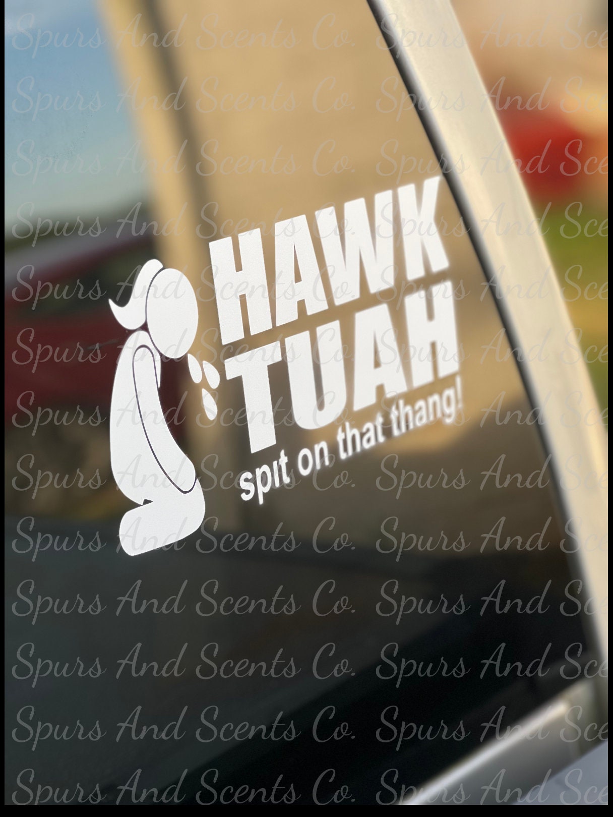Hawk Tuah Car Decal - Etsy
