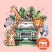 Safari Animals PNG Lion Zebra Giraffe Jungle Zoo Animals PNG ...