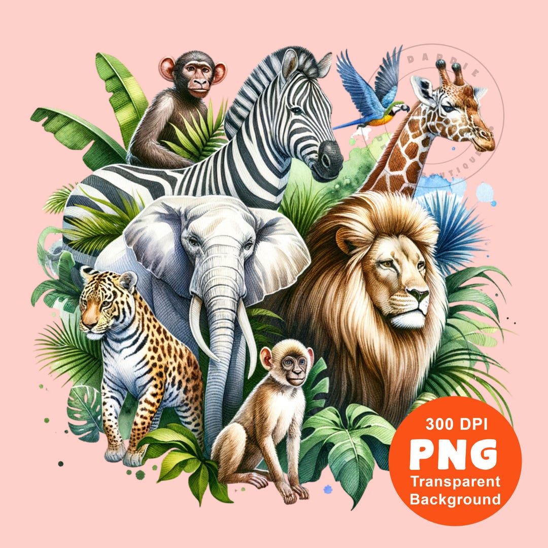 Safari Animals PNG Lion Zebra Giraffe Jungle Zoo Animals PNG ...