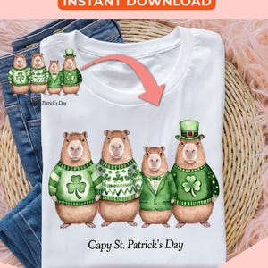 Capy St Patty's Day PNG Capybara St Patrick's Day Png Tshirt ...