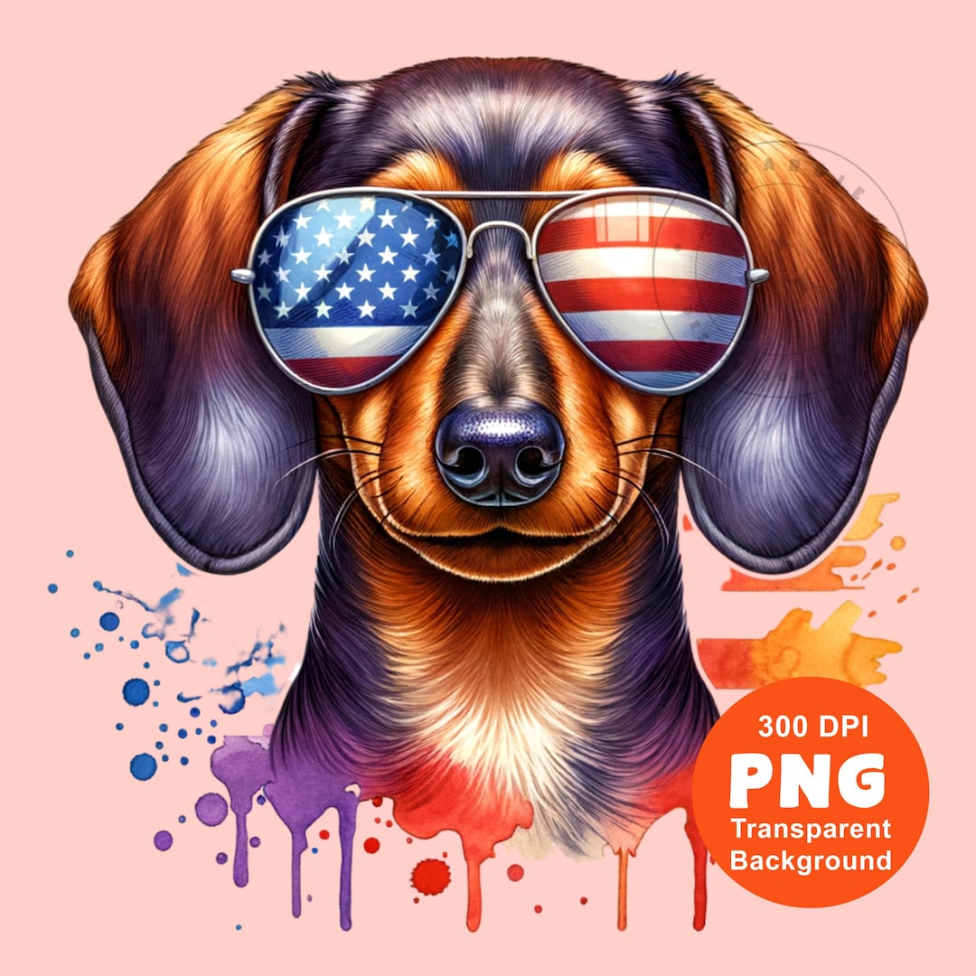 American Flag Dachshund PNG Americana Wiener Dog Sausage Dog Patriotic ...