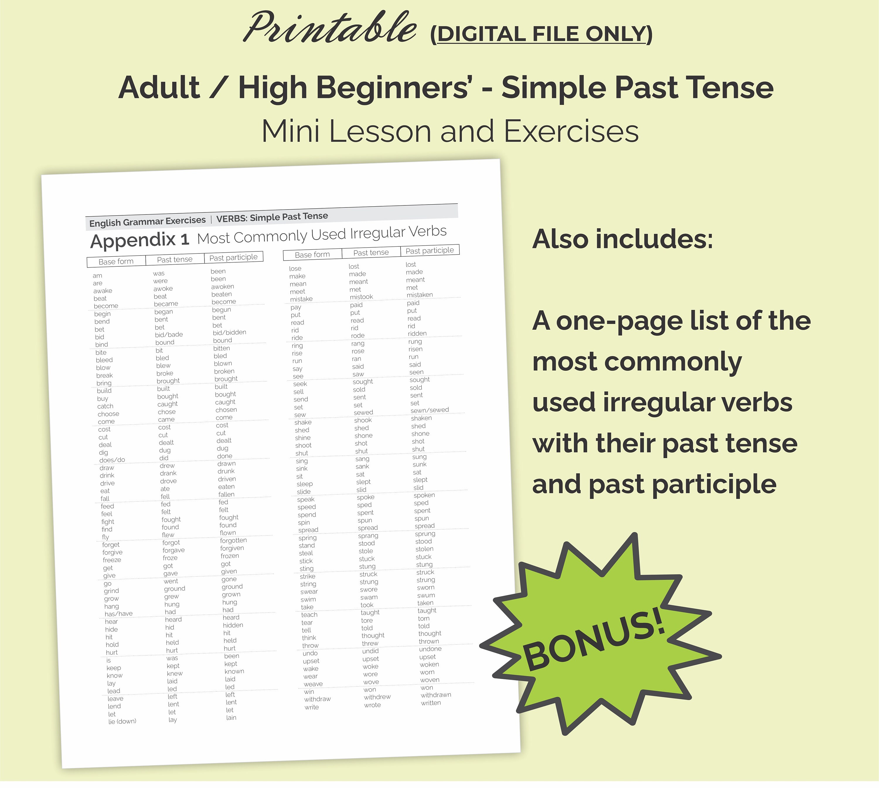 Simple Past Tense for Adult ESL Learners / Past Tense High Beginners ...