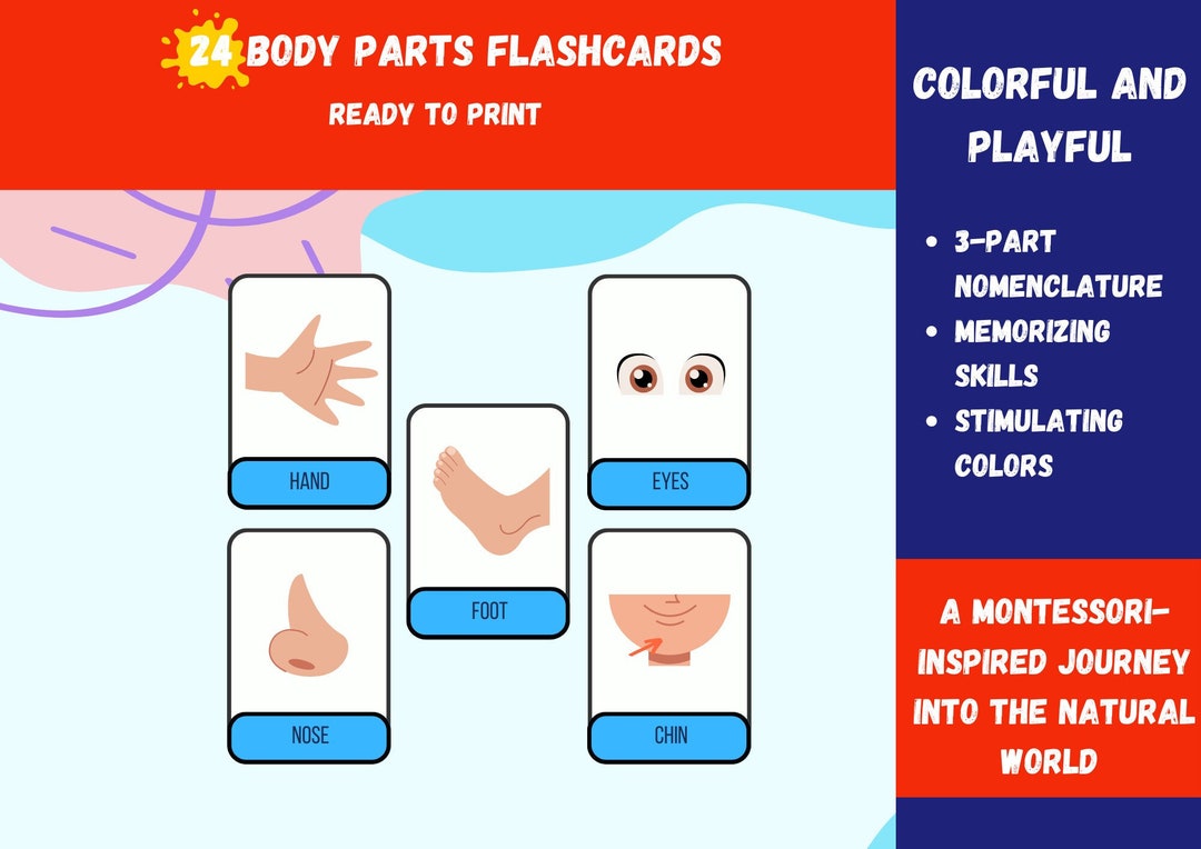 BODY PARTS FLASHCARDS, 40 Body Parts Montessori Cards, Editable ...