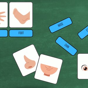 BODY PARTS FLASHCARDS, 40 Body Parts Montessori Cards, Editable ...