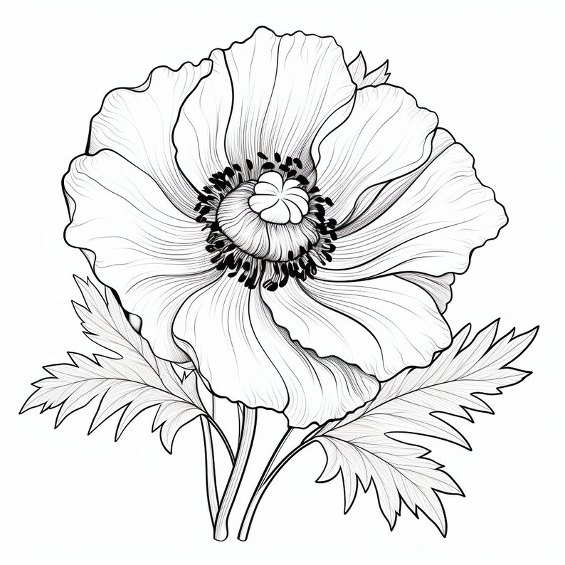 40 Floral Coloring Pages. Pdf Files Containing 40 Unique Coloring Pages ...