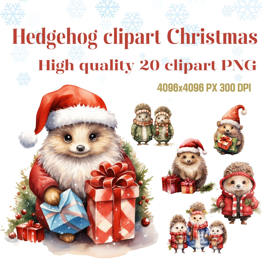Hedgehog Clipart Christmas, 20 Clipart Pack PNG, Watercolor Clipart ...