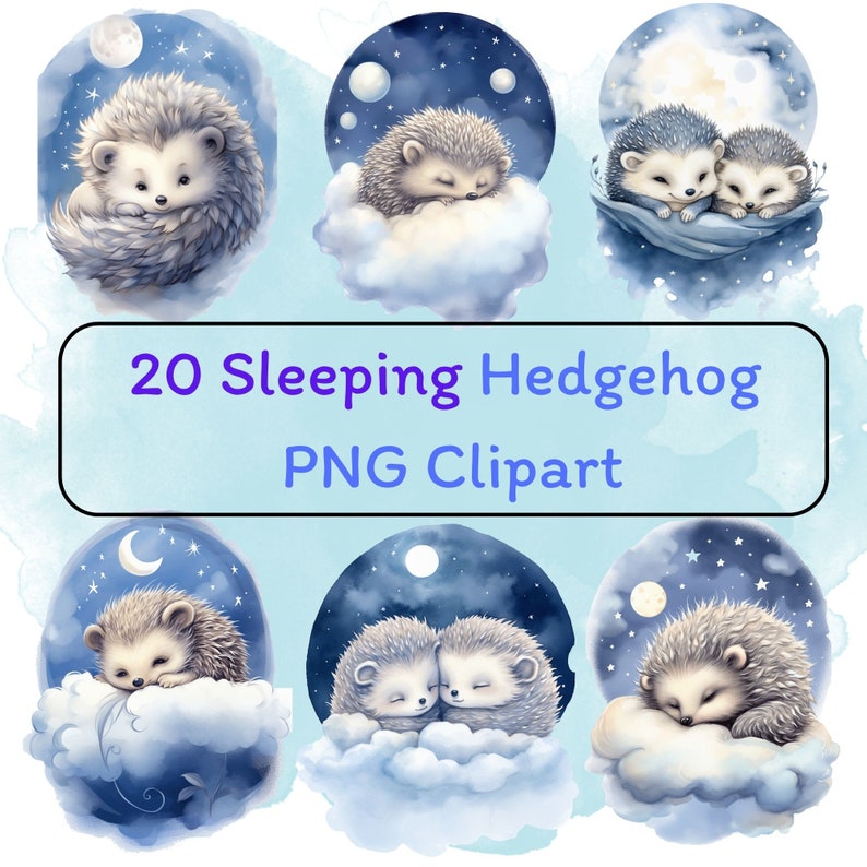 Sleeping Hedgehog, 20 PNG Clipart, Cute Hedgehog, Watercolor Nursery ...