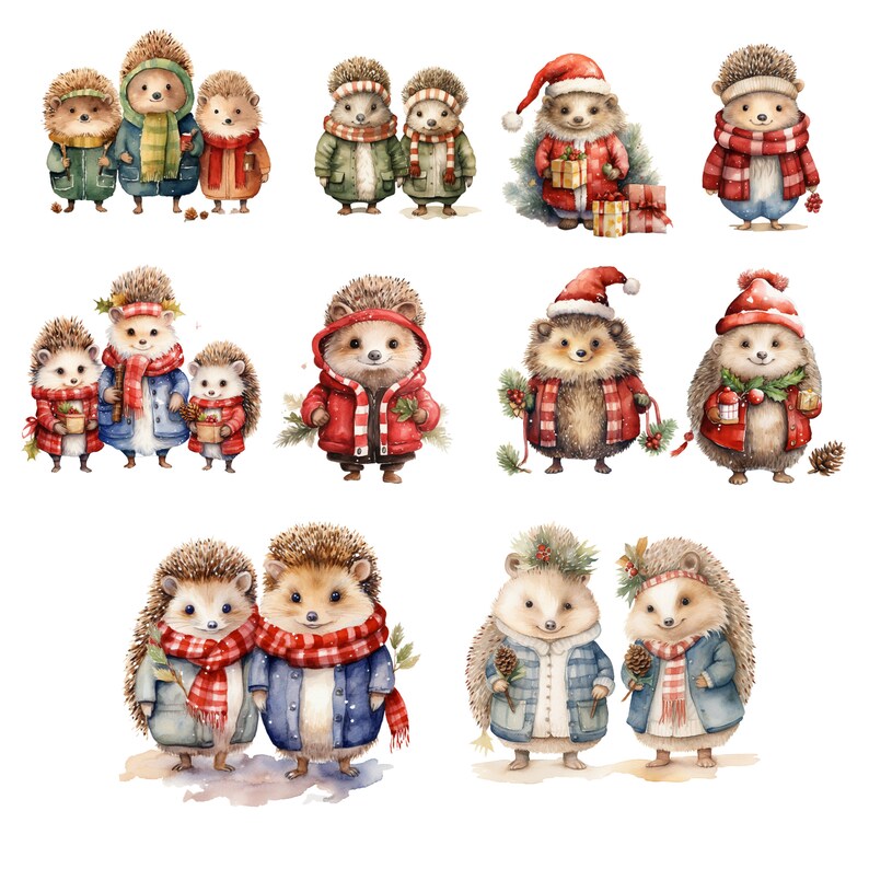 Hedgehog Clipart Christmas, 20 Clipart Pack PNG, Watercolor Clipart ...