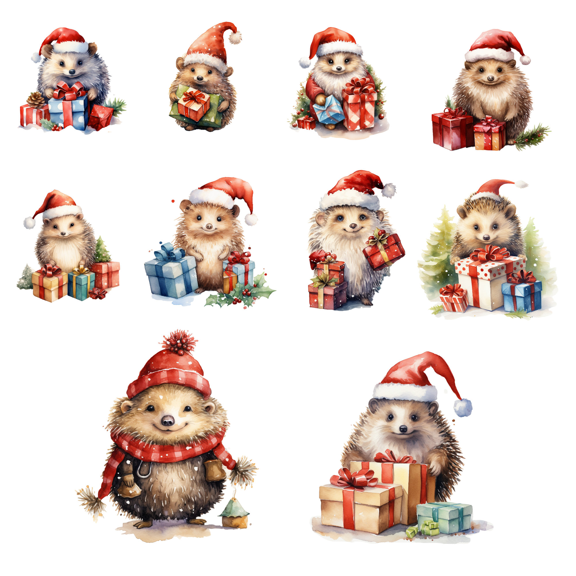 Hedgehog Clipart Christmas, 20 Clipart Pack PNG, Watercolor Clipart ...
