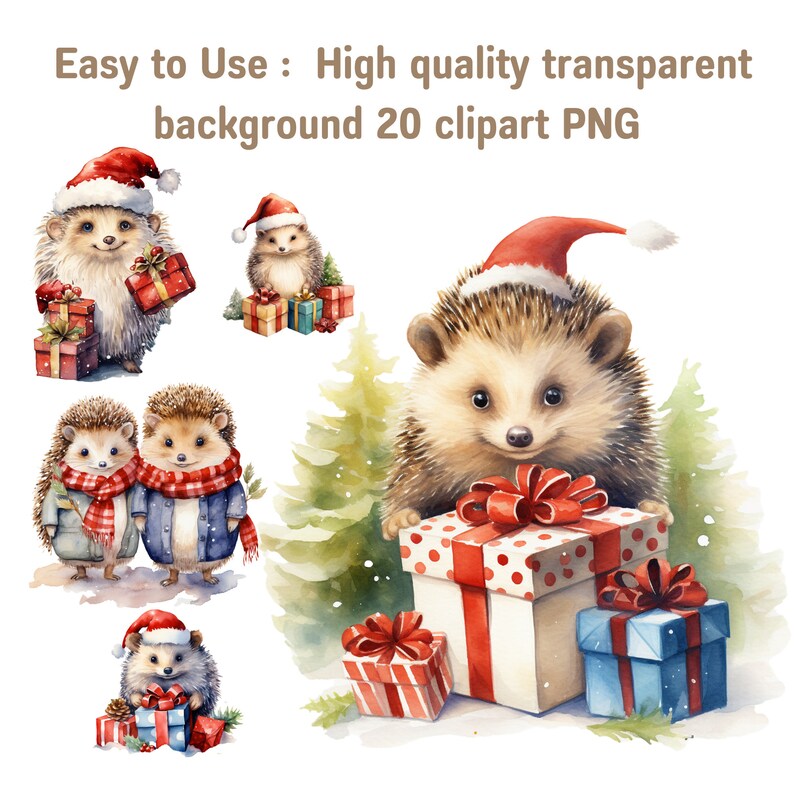 Hedgehog Clipart Christmas, 20 Clipart Pack PNG, Watercolor Clipart ...
