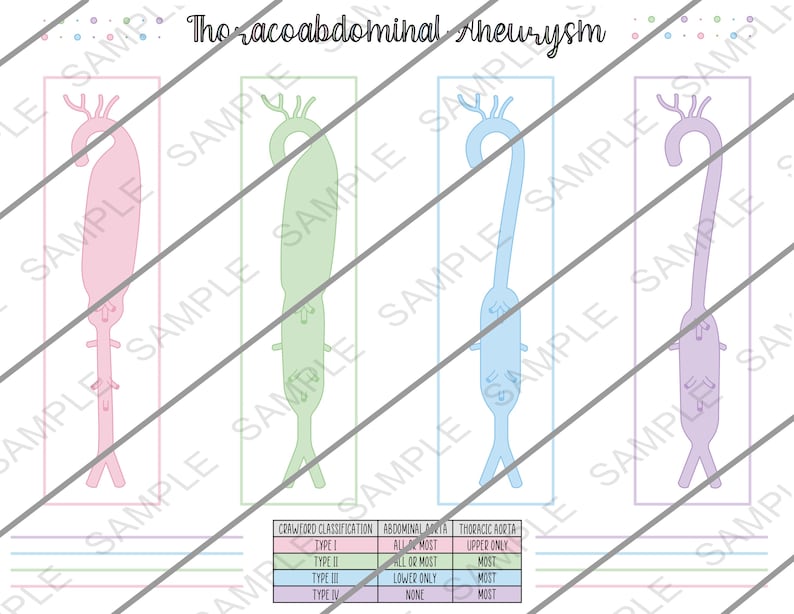 Vascular Anatomy/thoracoabdominal Aneurysm Classification - Study ...