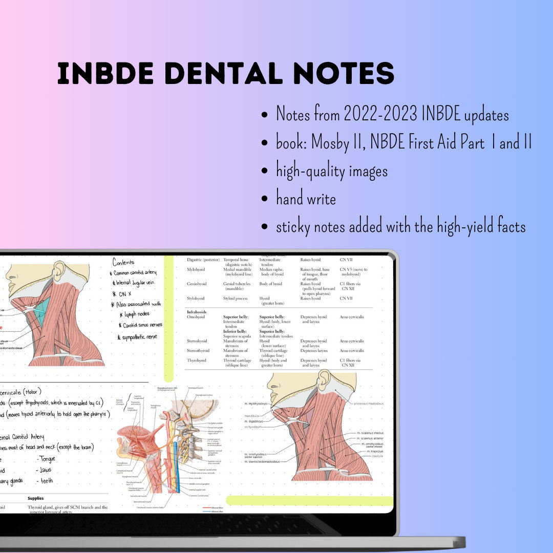 Dental Anatomy Notes: Head, Neck, Tongue - INBDE Study Bundle - Etsy