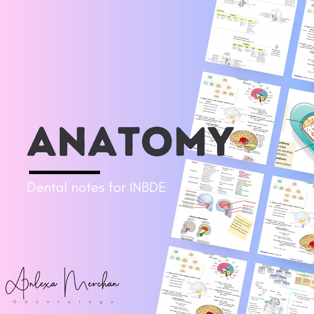 Dental Anatomy Notes: Head, Neck, Tongue - INBDE Study Bundle - Etsy