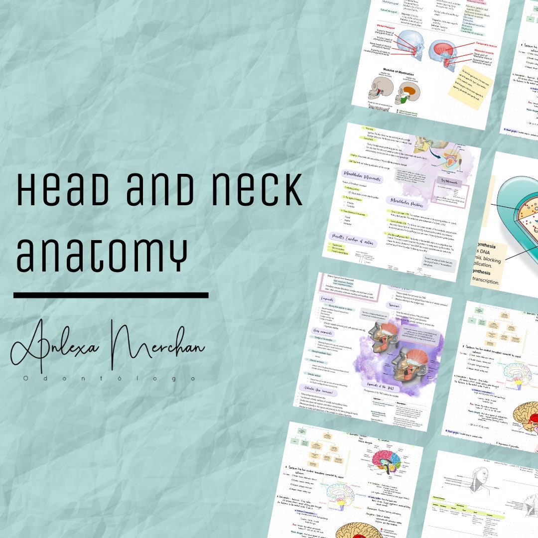 Dental Notes for INBDE | Head and Neck Anatomy Bundle | INBDE Pass 2024 ...