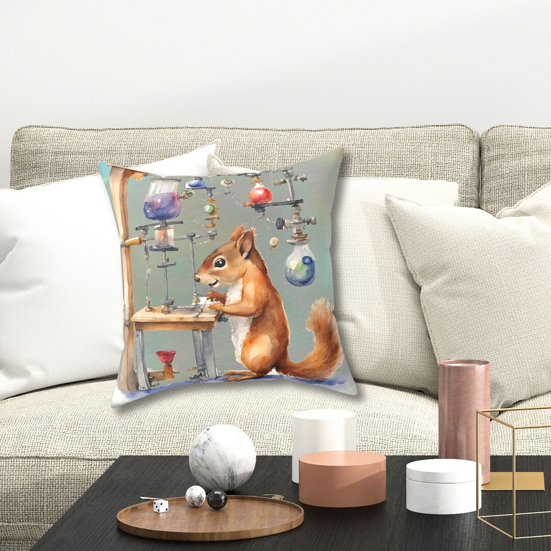 Science Squirrel Pillow, Rube Goldberg Laboratory, Weird and Strange ...