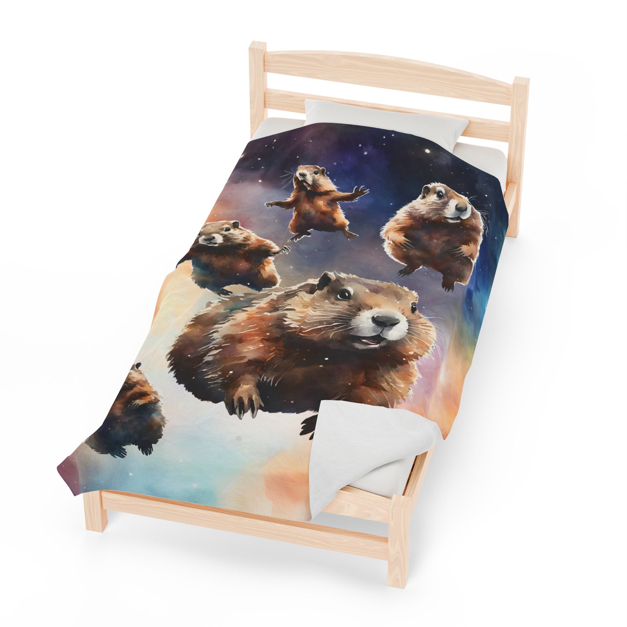 Groundhogs in Space Blanket, Velveteen Plush, Adult and Kids Room Throw ...