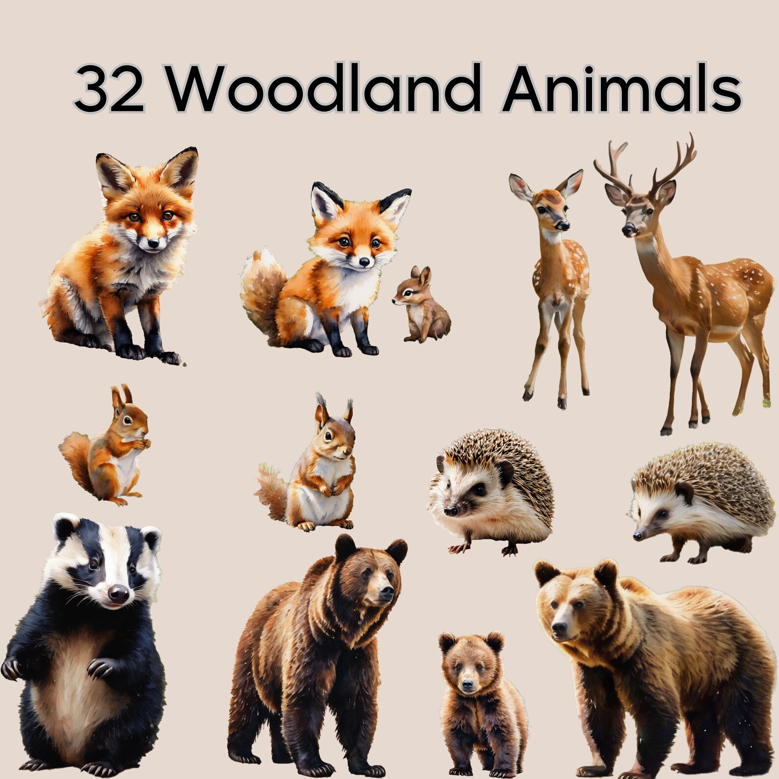 Whimsical Woodland Animals Clipart Watercolor, Clipart for Commercial ...