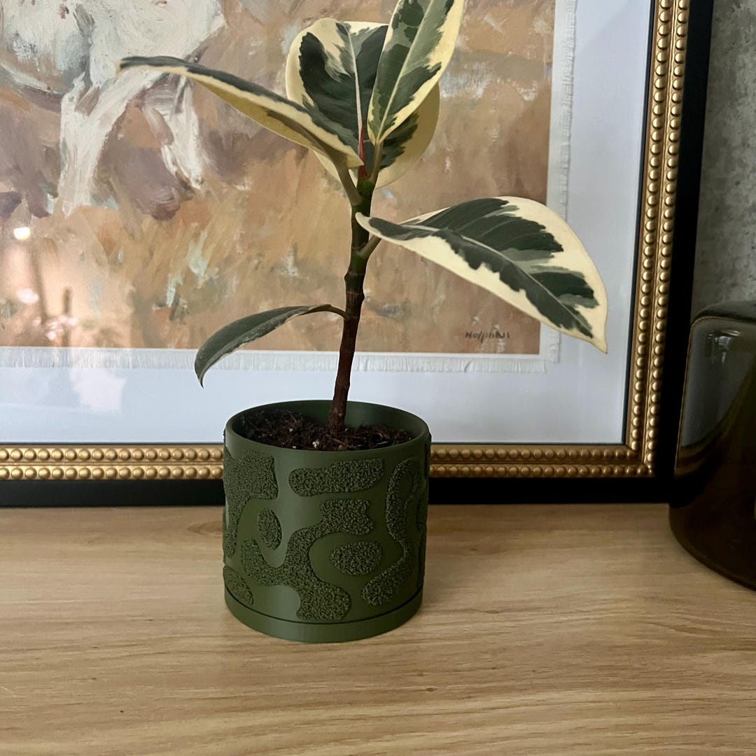 MOSS Textured Plant Pot With Drainage and Saucer, Modern Pot for Indoor ...