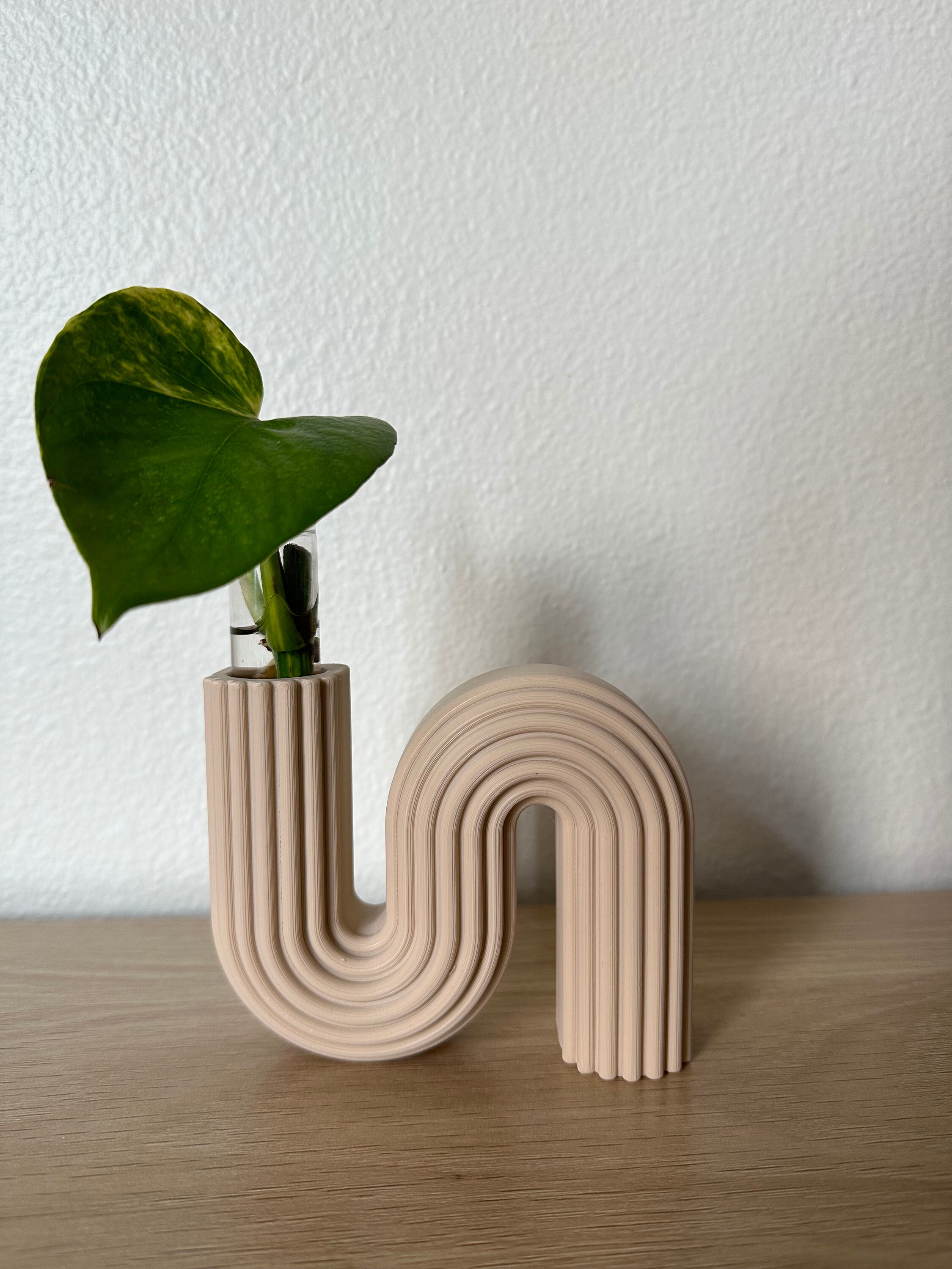 Curvy Plant Propagation Stand, Vase for Plants and Flowers, House ...