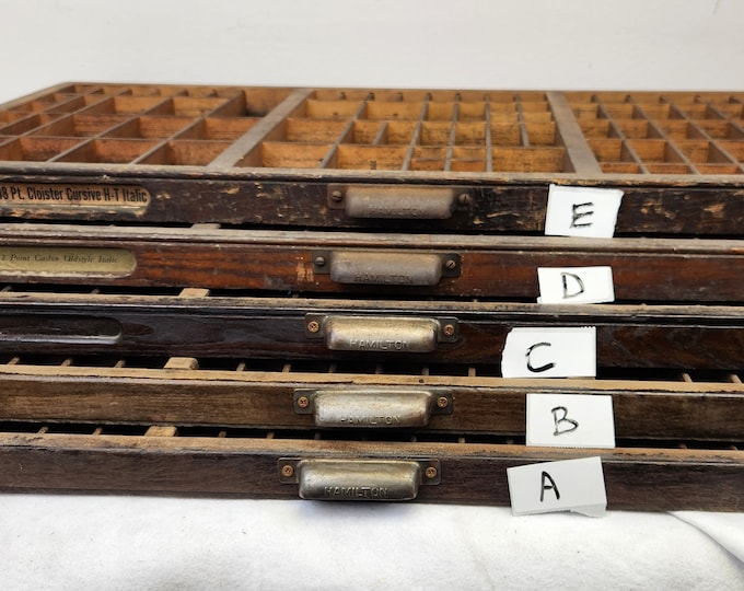 Hamilton Wooden Printer’s Drawer Vintage Value Large 32X17 Letterpress ...