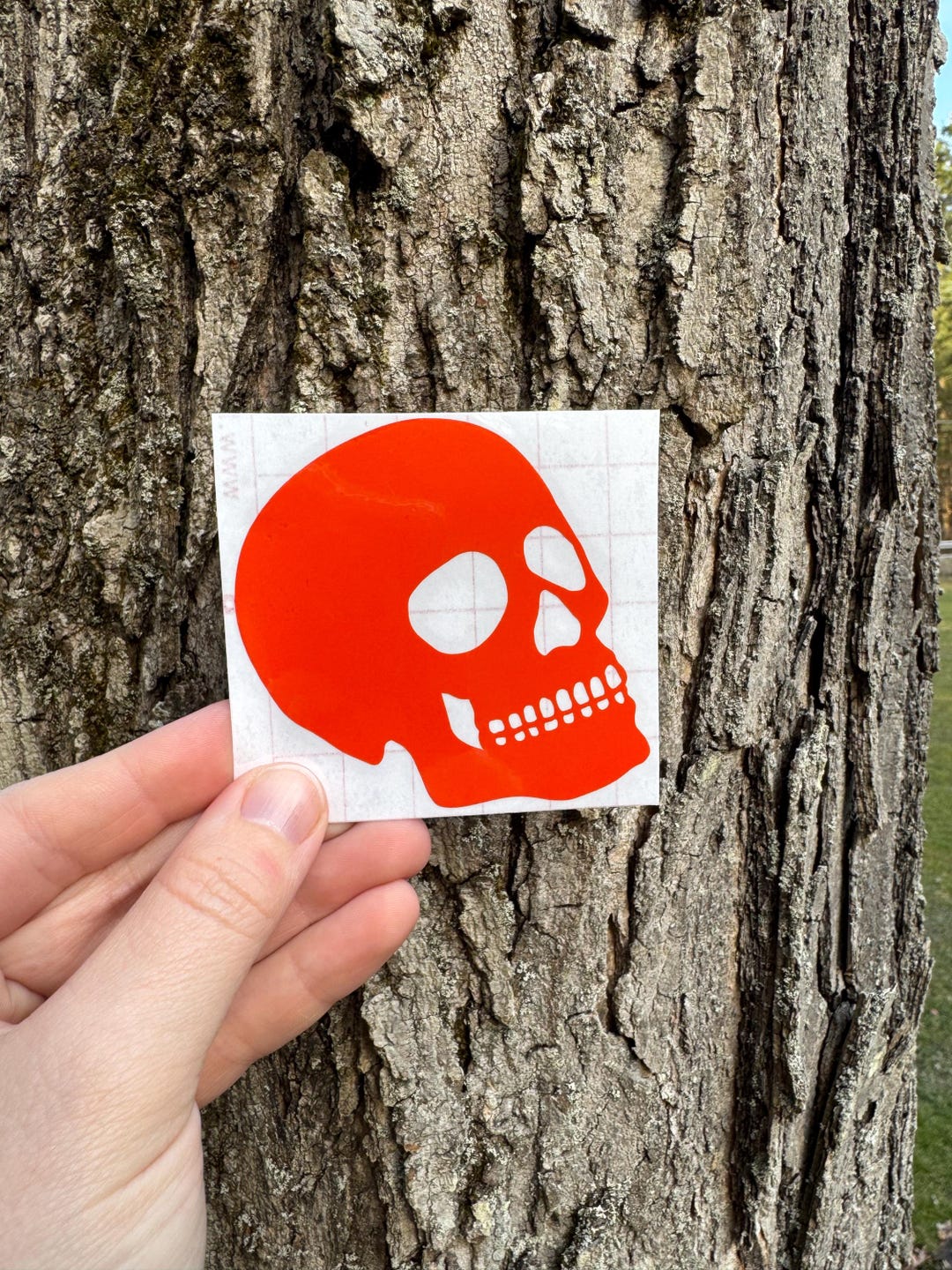 Skull Decal, Skeleton Head Decal, Car Decal - Etsy