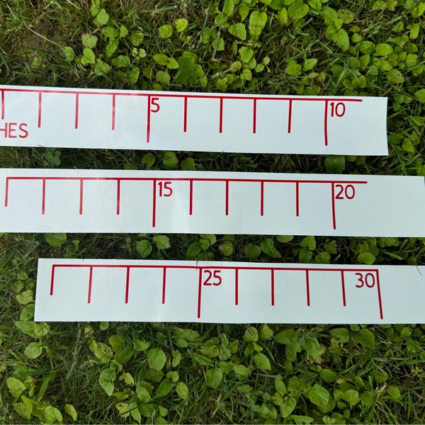 Ruler Decals - Etsy
