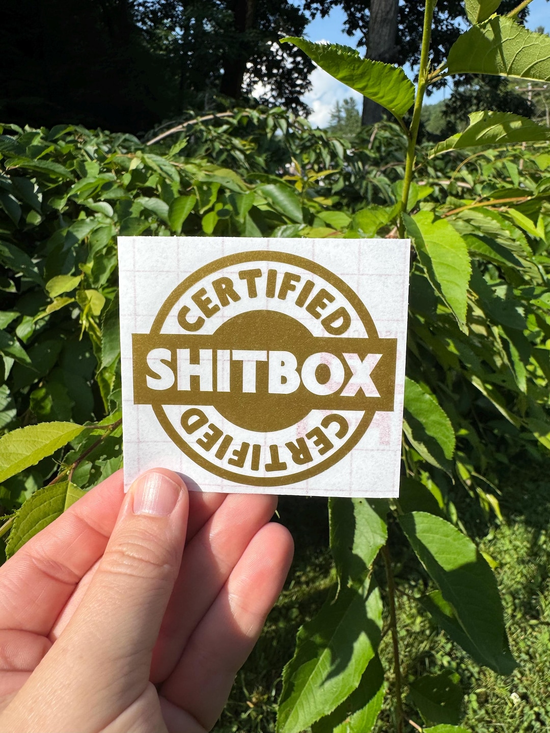 Certified Shitbox Decal, Shitbox Decal, Junk Car Decal, Funny Decal - Etsy