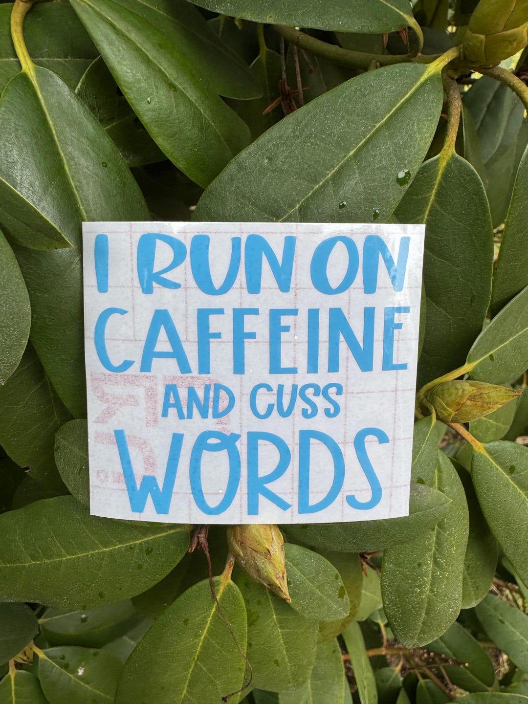 Caffeine and Cuss Words Decal, I Run on Caffeine and Cuss Words Decal ...