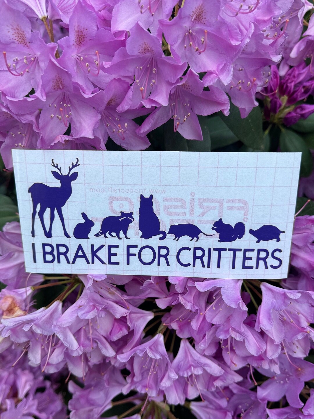 I Brake for Critters Decal, I Brake for Wildlife Decal - Etsy
