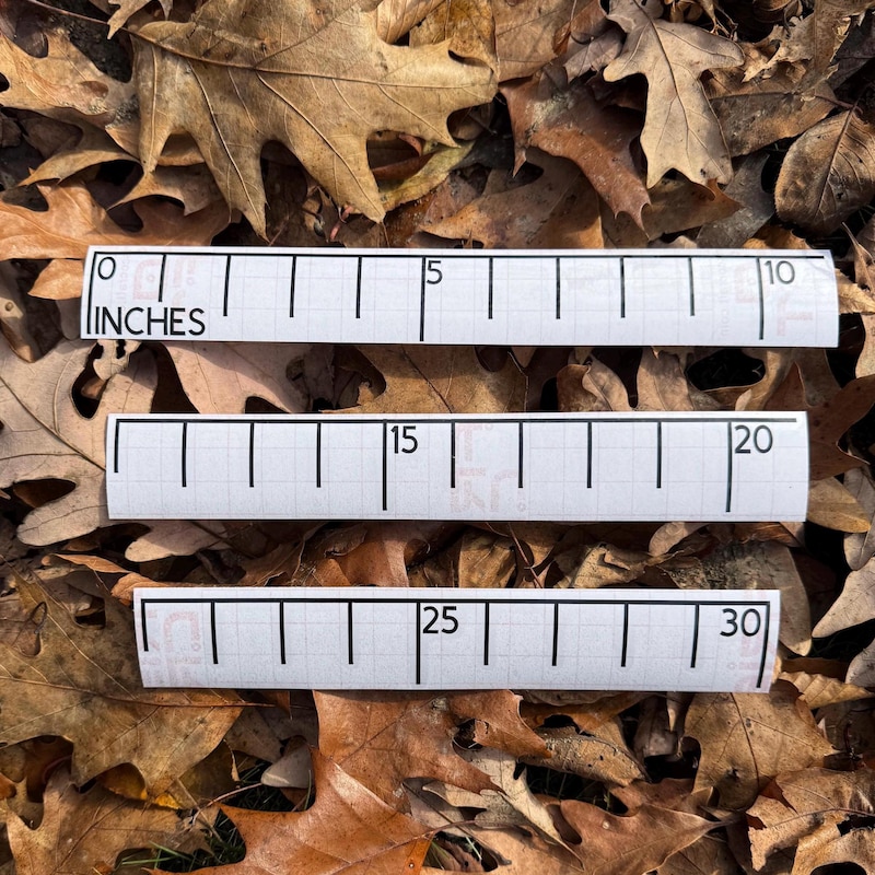 Ruler Decals - Etsy