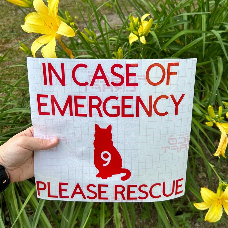 In Case of Emergency - Etsy