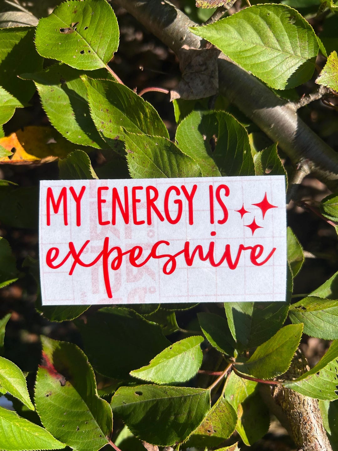 My Energy is Expensive Decal, My Energy Decal, Funny Decal - Etsy