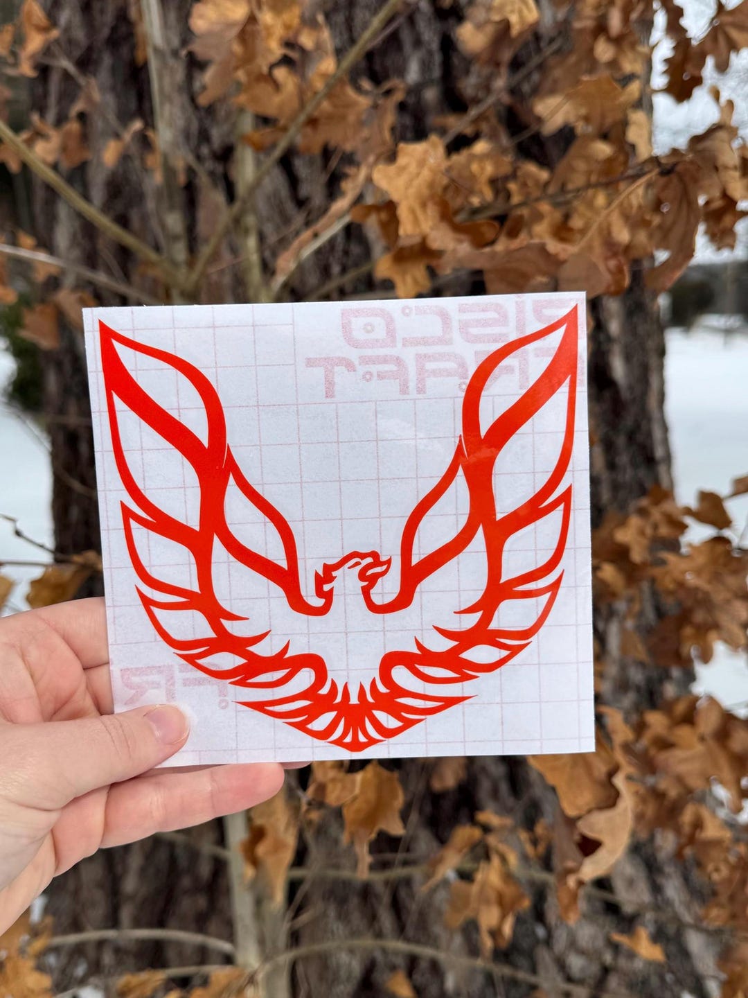 Firebird Decal, Trans Am Decal, Pontiac Firebird Decal, Firebird Eagle ...
