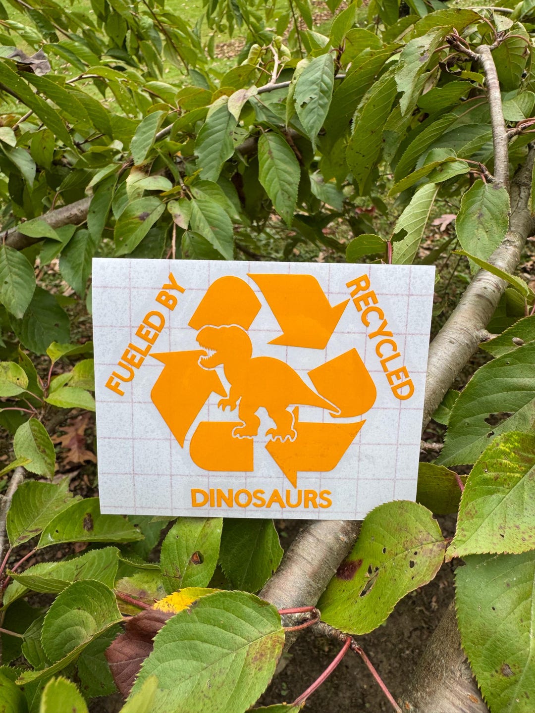 Fueled by Recycled Dinosaurs Decal, Fossil Fuel Decal, Fueled by ...