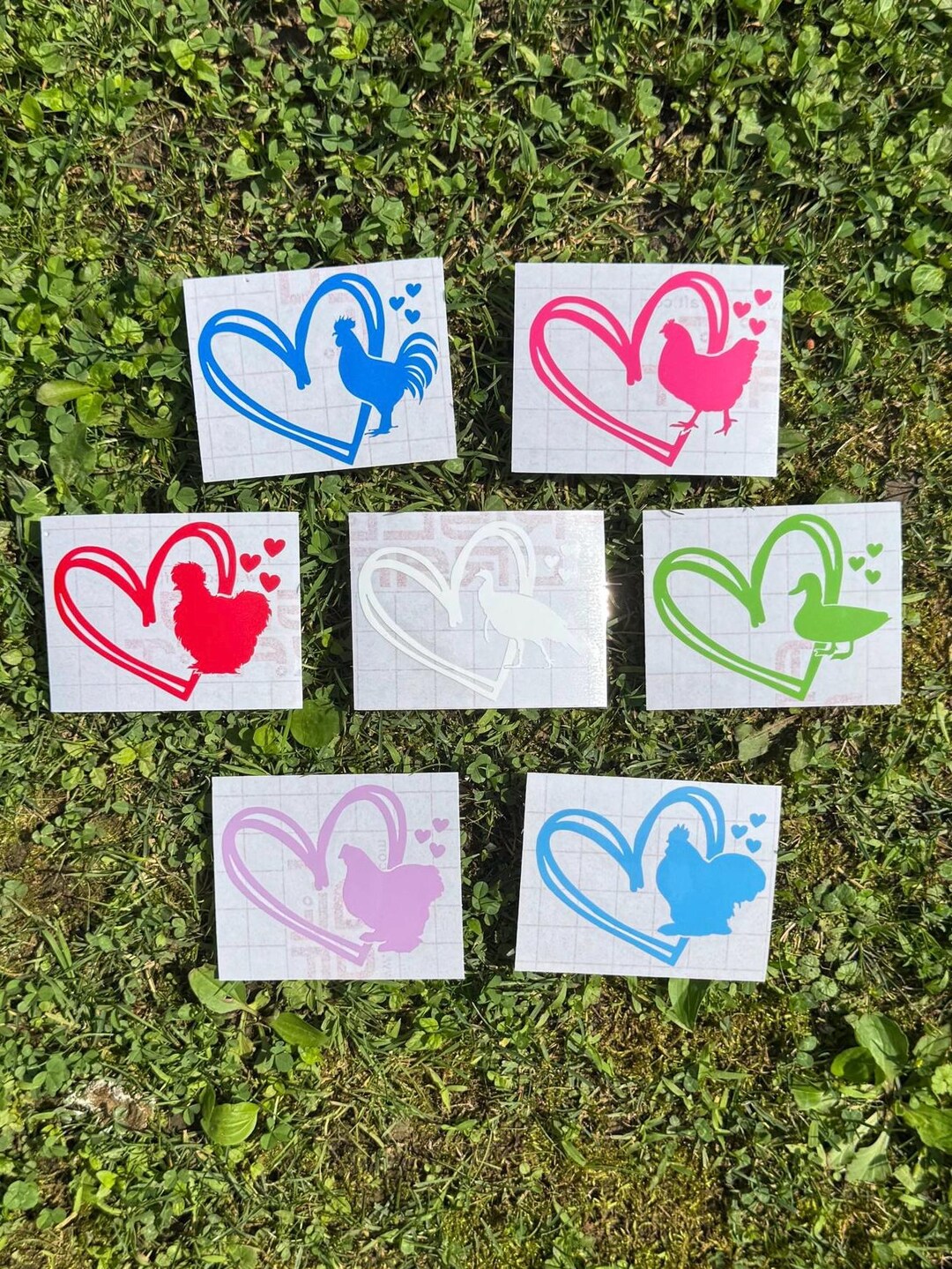 Chicken Decal, Hen Decal, Silkie Decal, Rooster Decal, Duck Decal ...