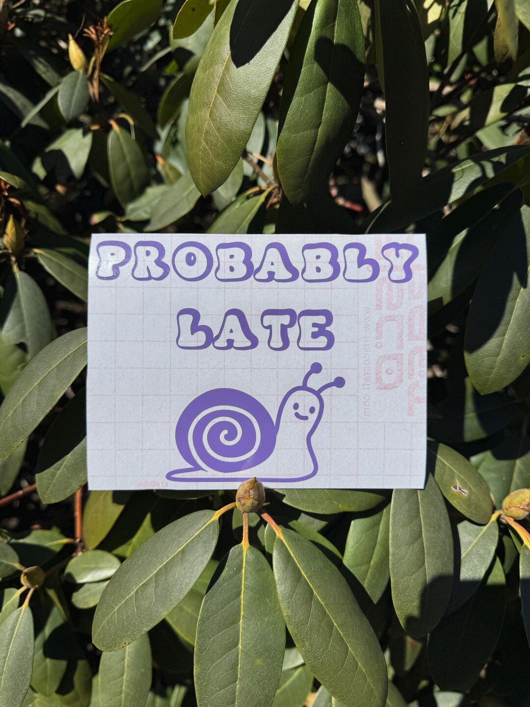 Probably Late Decal, Snail Decal, Always Late Decal - Etsy