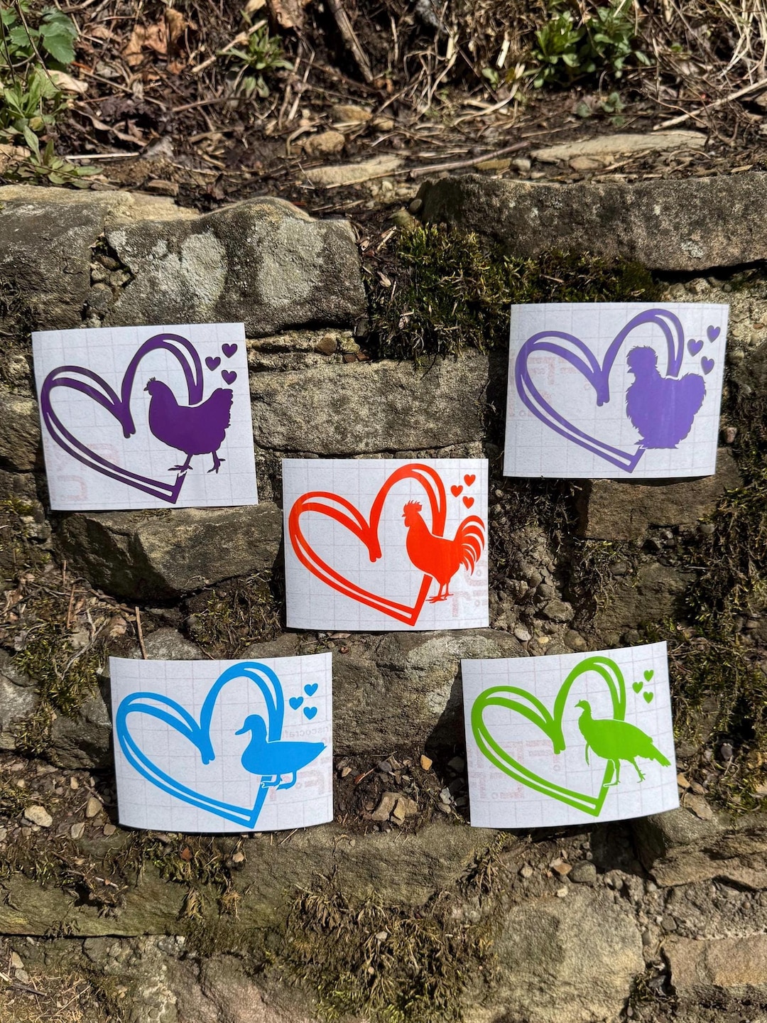 Chicken Decal, Hen Decal, Silkie Decal, Rooster Decal, Duck Decal ...