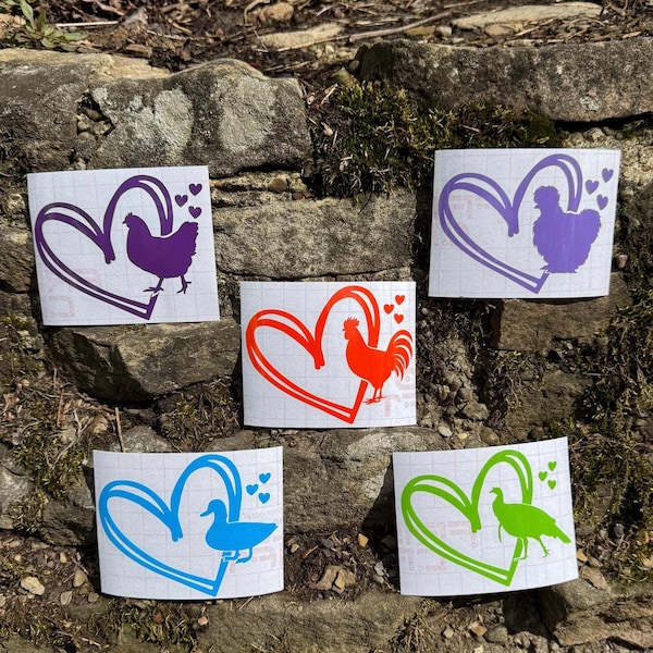 Chicken Decal - Etsy